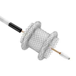 AXIOS™ Stent - Boston Scientific