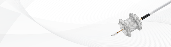 AXIOS™ Stent - Boston Scientific