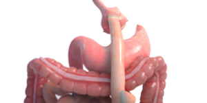 Endura Weight Loss Solutions - Boston Scientific