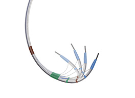 ERCP product portfolio - Boston Scientific