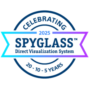 Cholangioscopy innovation and advancements - Boston Scientific - Boston ...