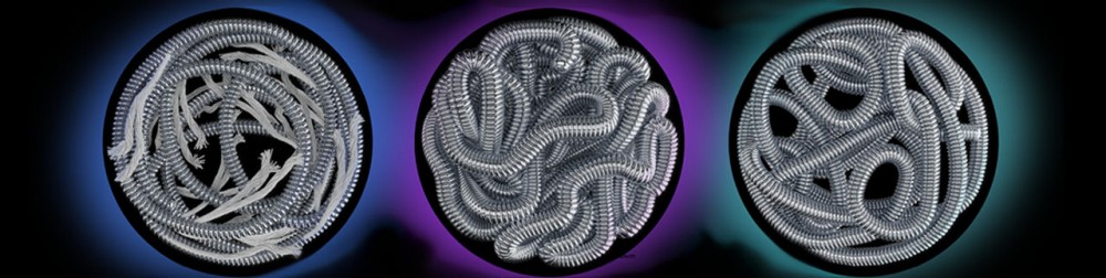 EMBOLD™ Detachable Coil System - Fibered Coil - Boston Scientific