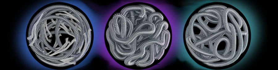 Embold™ Detachable Coil System – Fibered Coil – Boston Scientific