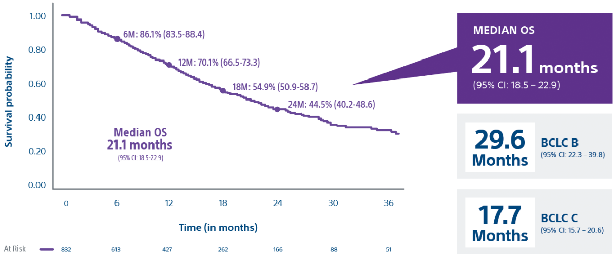 PROACTIF Study of Hepatocellular Carcinoma (HCC) - Boston Scientific ...