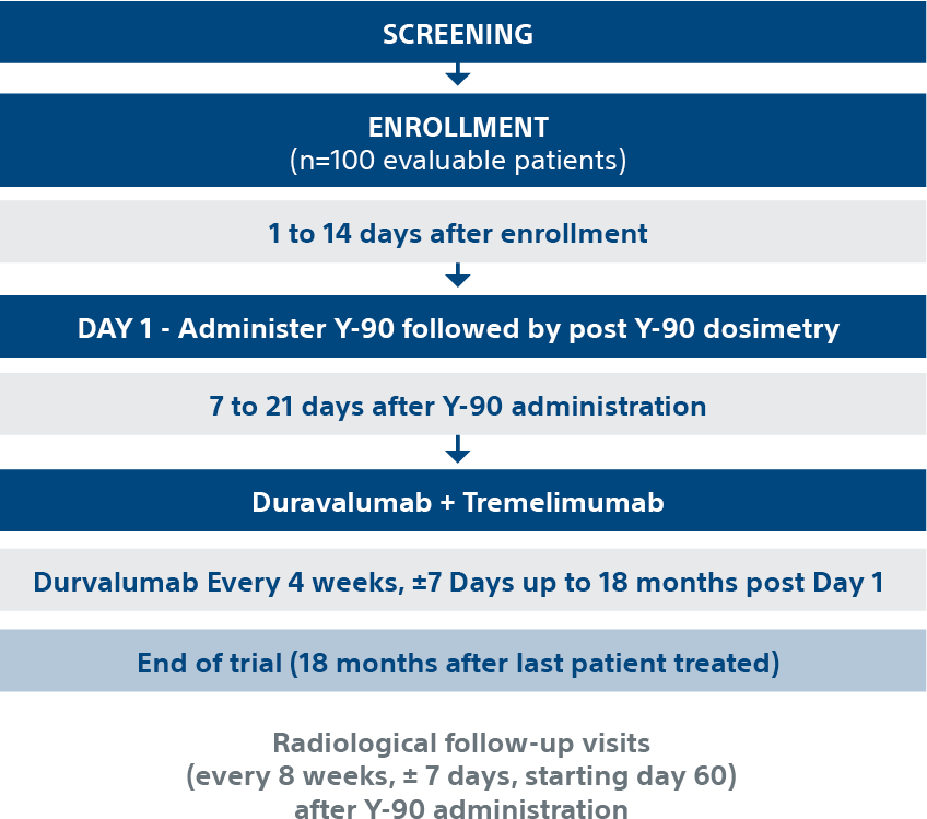TheraSphere™ Proven Combination Therapies - Boston Scientific