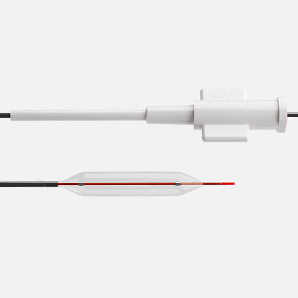 About The ENROUTE™ System - See How It Works - Boston Scientific