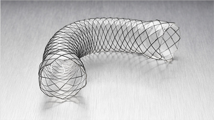 Esophageal Stent Post-Procedure - Boston Scientific