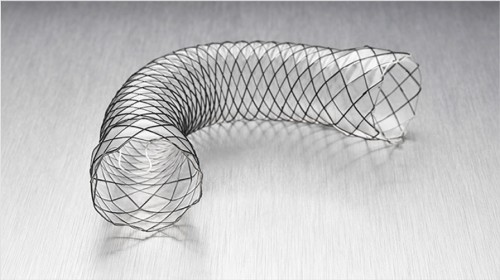 Esophageal Stent Post-Procedure - Boston Scientific
