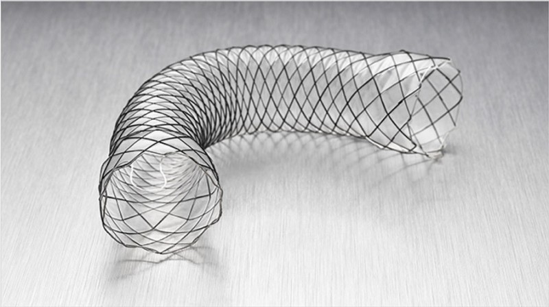 Esophageal Stent Post-Procedure - Boston Scientific