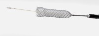 Esophageal Stent Pre-Procedure - Boston Scientific