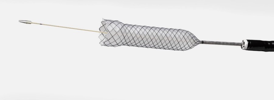 Esophageal Stent Pre-Procedure - Boston Scientific