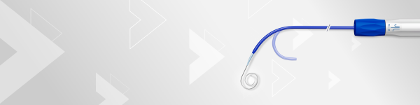 Zero Exchange VersaCross™ Steerable Access Solution - Boston Scientific