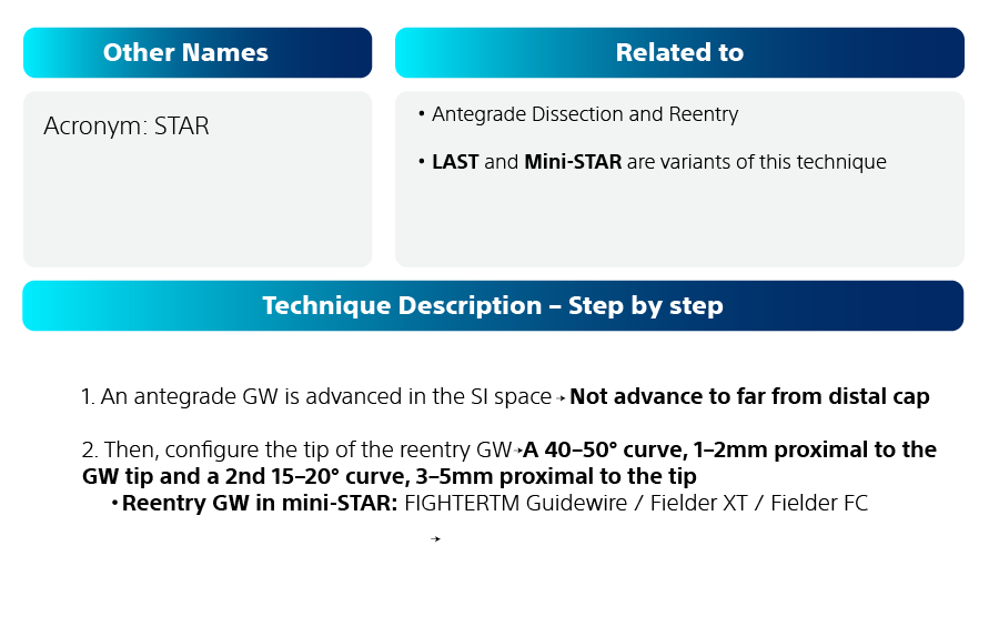 Subintimal Tracking and Reentry - Boston Scientific