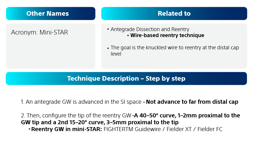 Mini Subintimal Tracking and Reentry - Boston Scientific